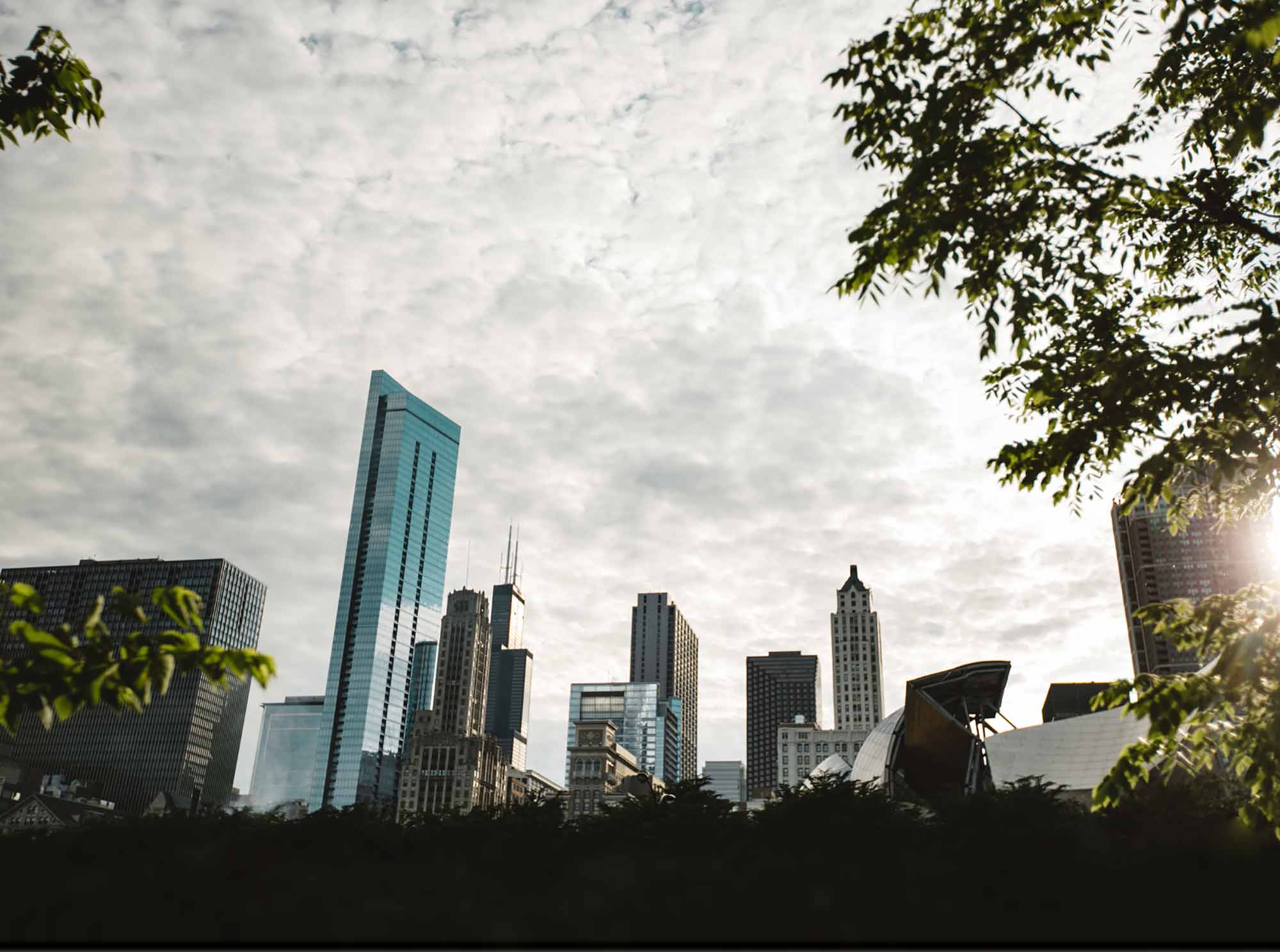 Contact // Chicago Compass Counseling